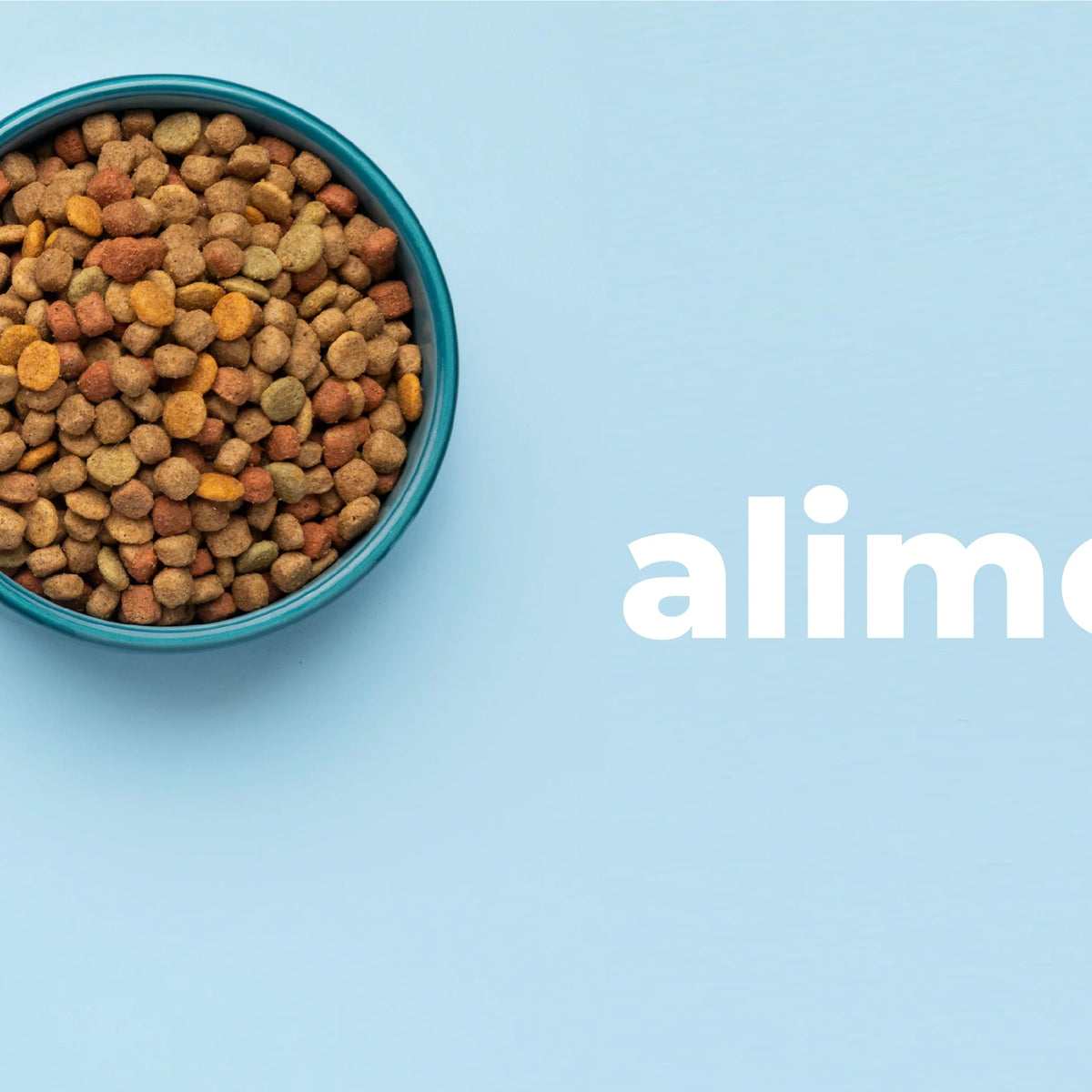 ALIMENTO PREMIUM GATO – Zyz Distribuidora