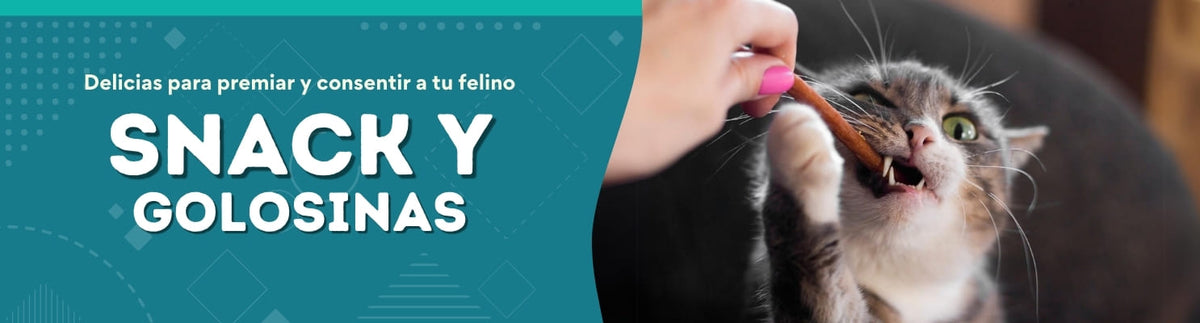 SNACK GATO – Zyz Distribuidora