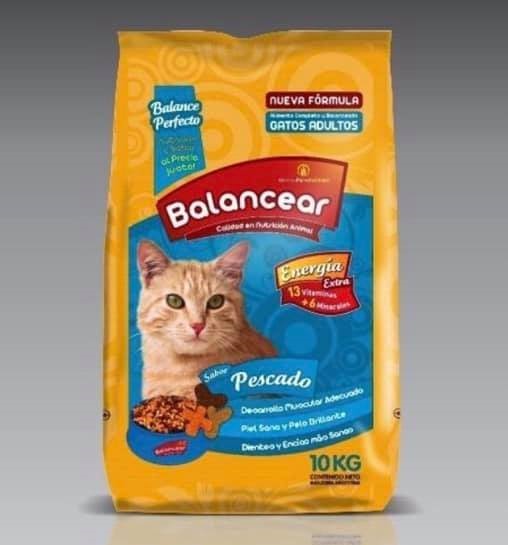 Balancear Gato – Zyz Distribuidora